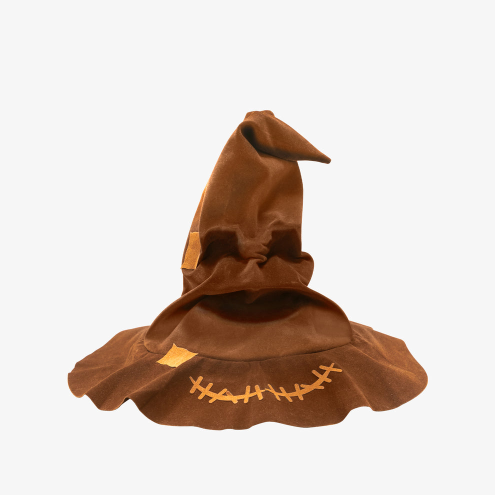 Puremind x Harry Potter Talking Sorting Hat Wooden Gallery 1632